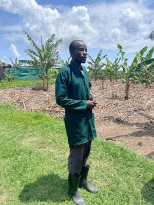 UBOS Report 2024: Agriculture Transforms Livelihoods in Uganda - Nexus ...